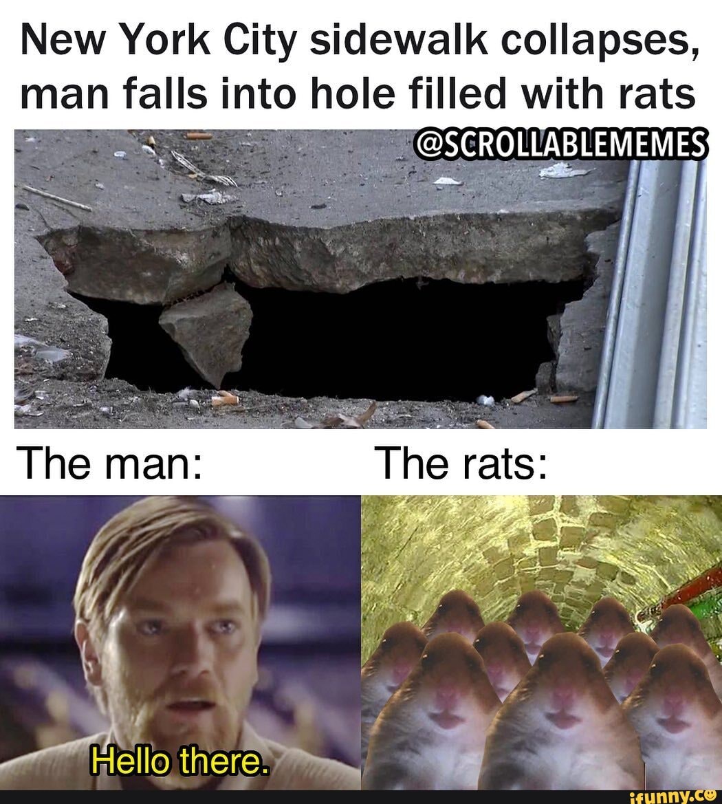New York City sidewalk collapses, man falls into hole filled with rats ...