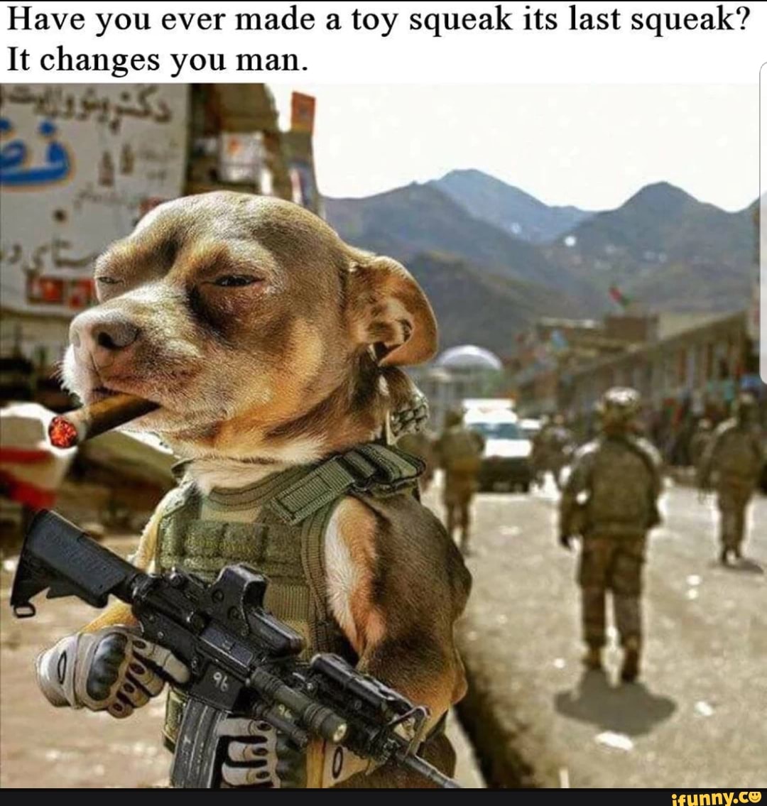 Have you ever made a toy squeak its last squeak? It changes you man ...