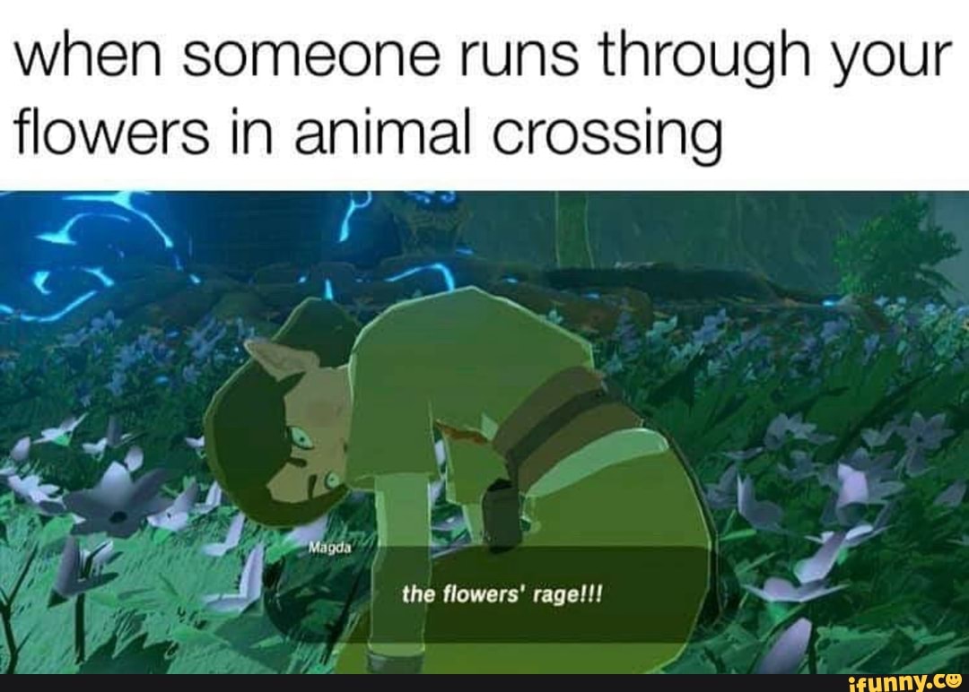 When someone runs through your flowers in animal crossing - iFunny
