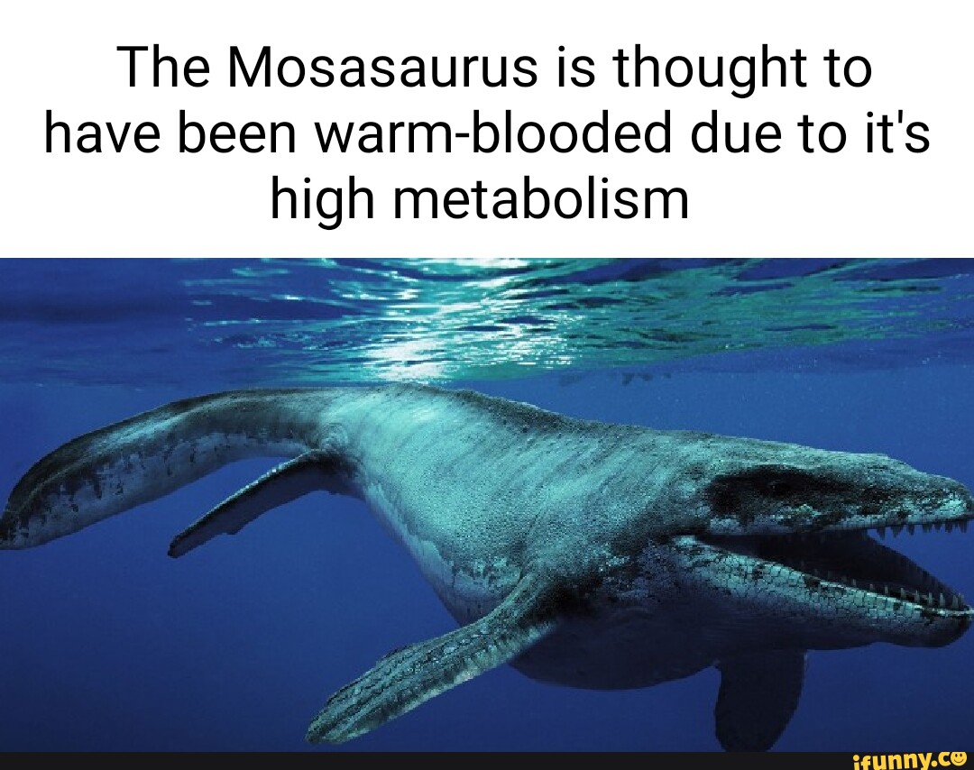 Metabolism memes. Best Collection of funny Metabolism pictures on iFunny