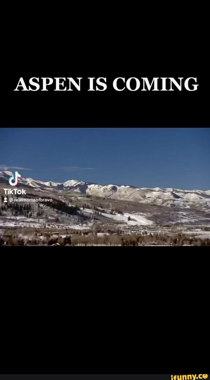 Aspen memes. Best Collection of funny Aspen pictures on iFunny