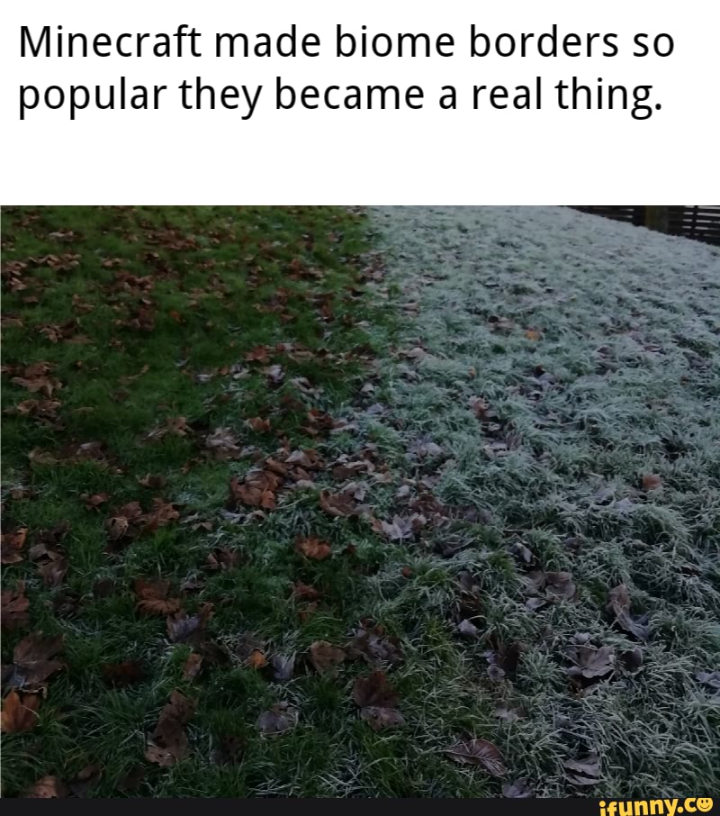 Minecraft made biome borders so popular they became a real thing. - iFunny