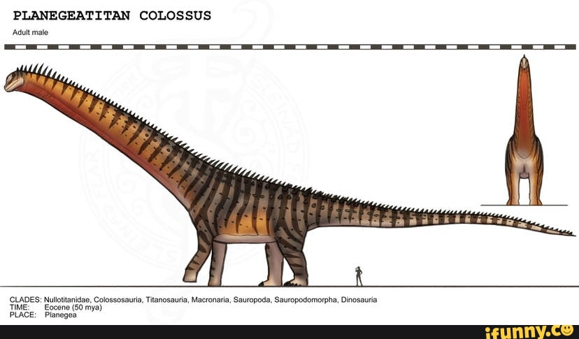 Titanosauria memes. Best Collection of funny Titanosauria pictures on ...