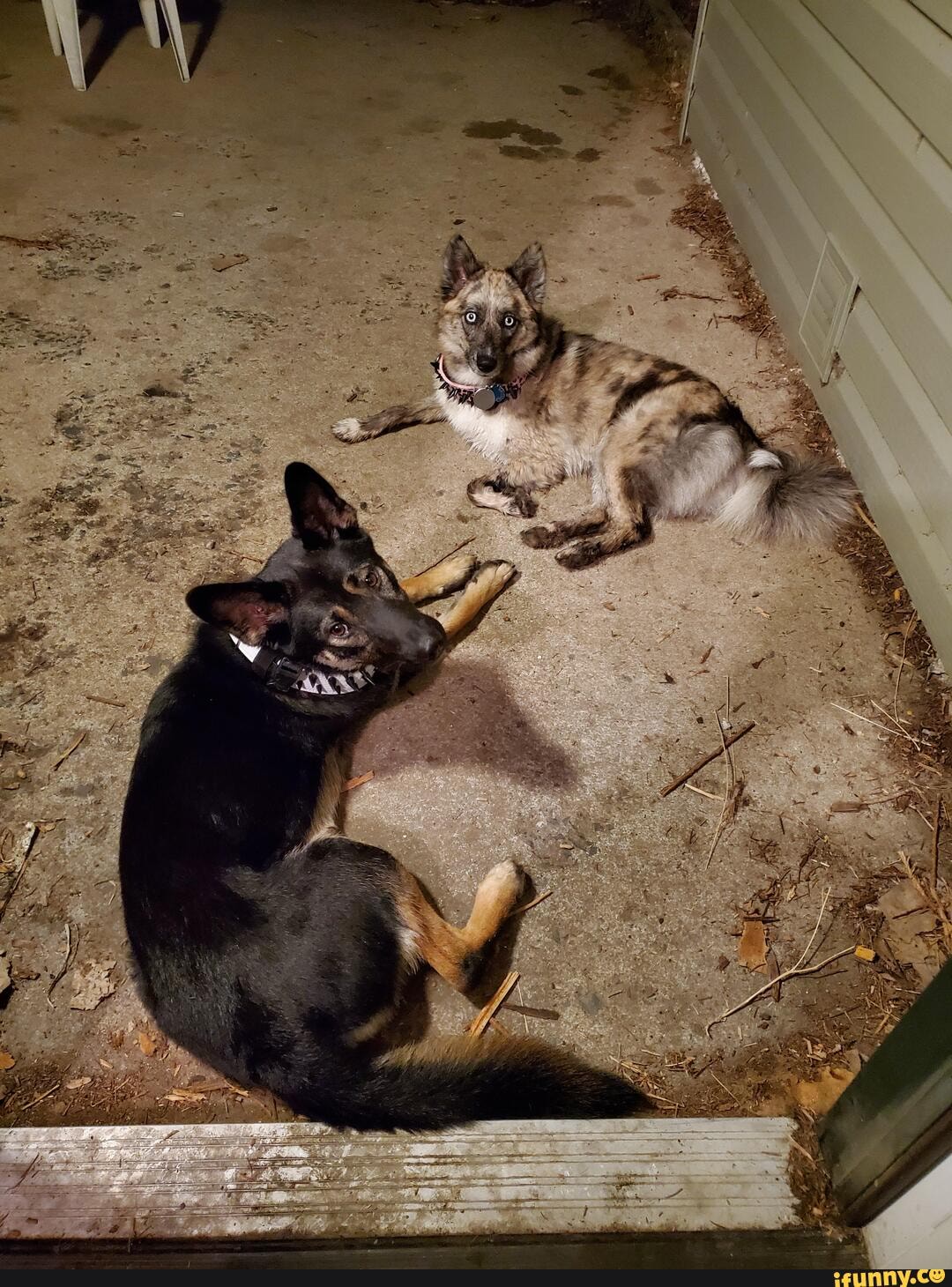 Ohai memes. Best Collection of funny Ohai pictures on iFunny