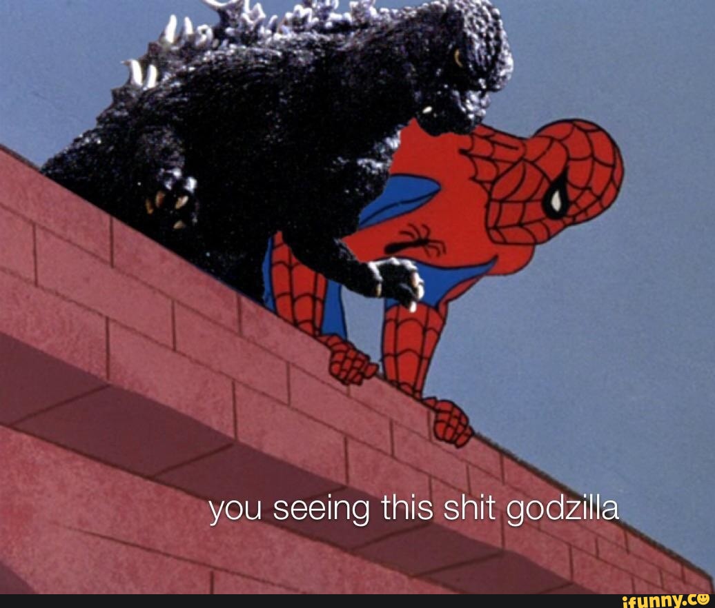You seeing this shit godzilla - iFunny