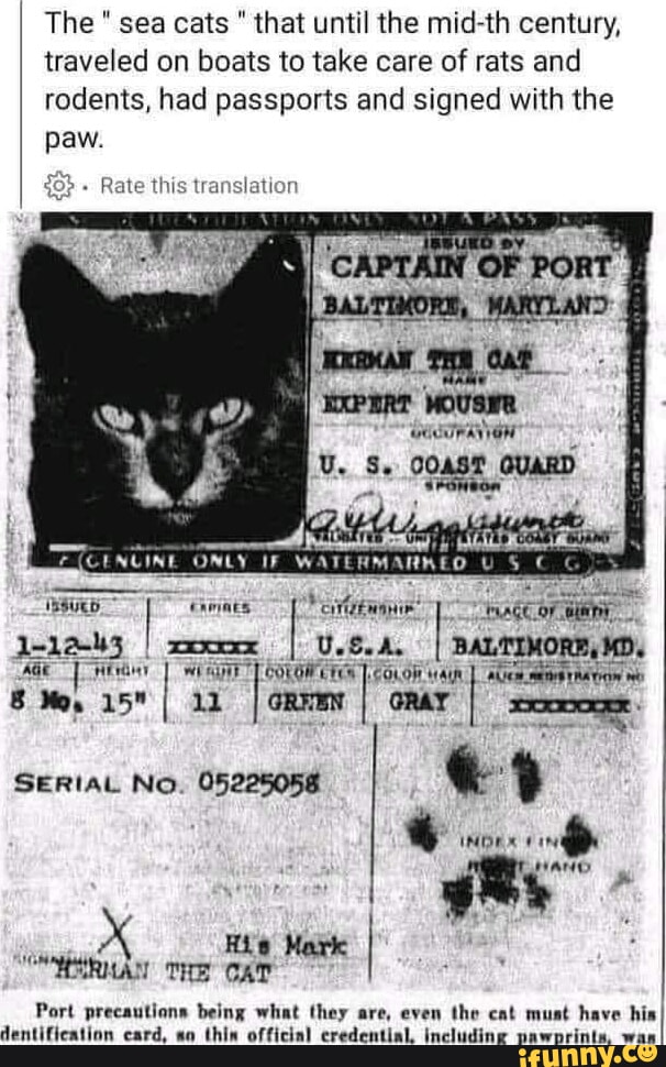 Passports memes. Best Collection of funny Passports pictures on iFunny