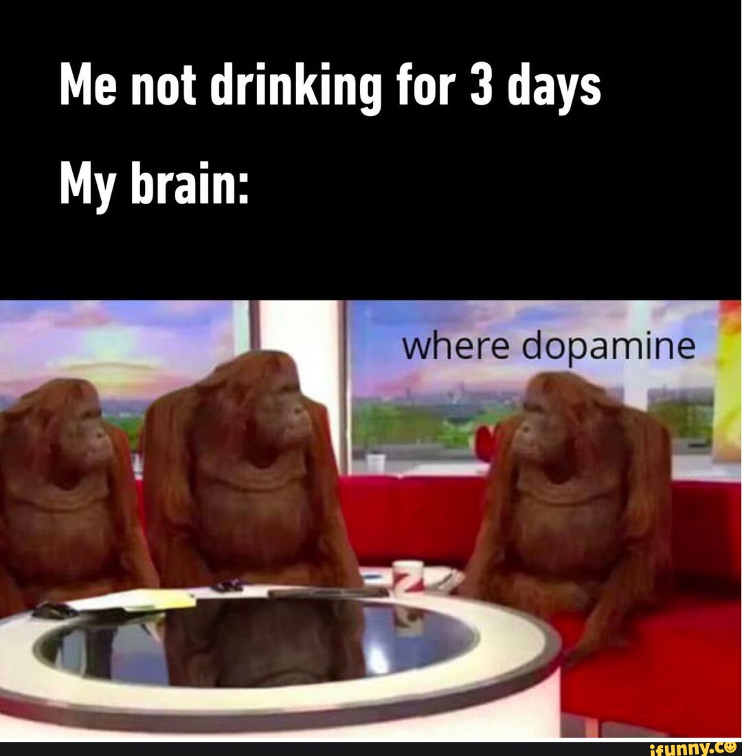 Me not drinking for 3 days My brain: where dopamine - iFunny
