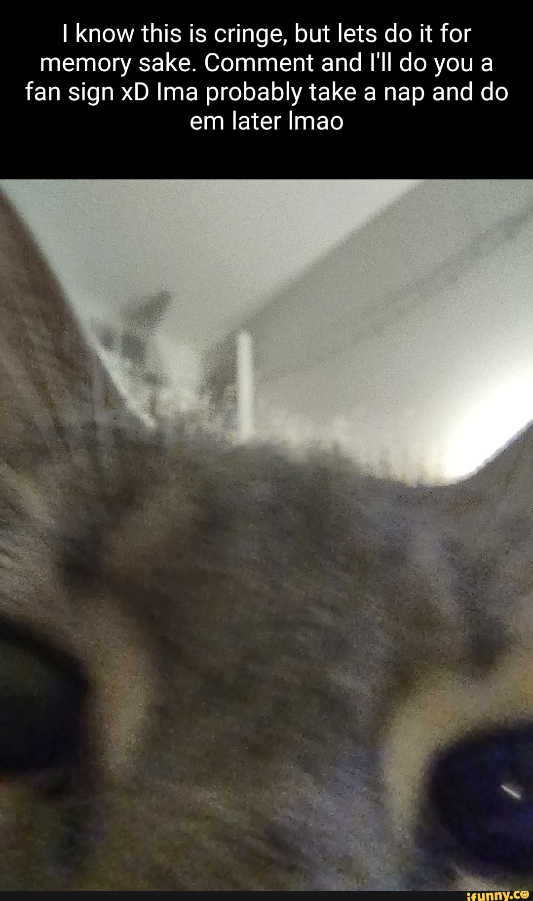 I know this is cringe, but lets do it for memory sake. Comment and I'll ...