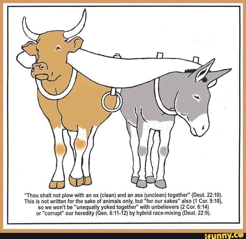 Heredity memes. Best Collection of funny Heredity pictures on iFunny