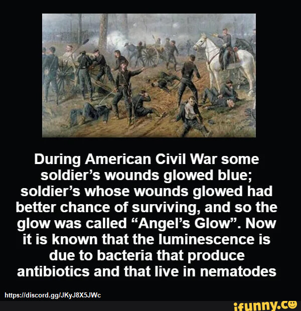 Nematodes memes. Best Collection of funny Nematodes pictures on iFunny