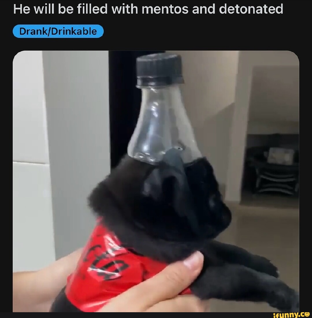 He will be filled with mentos and detonated - iFunny
