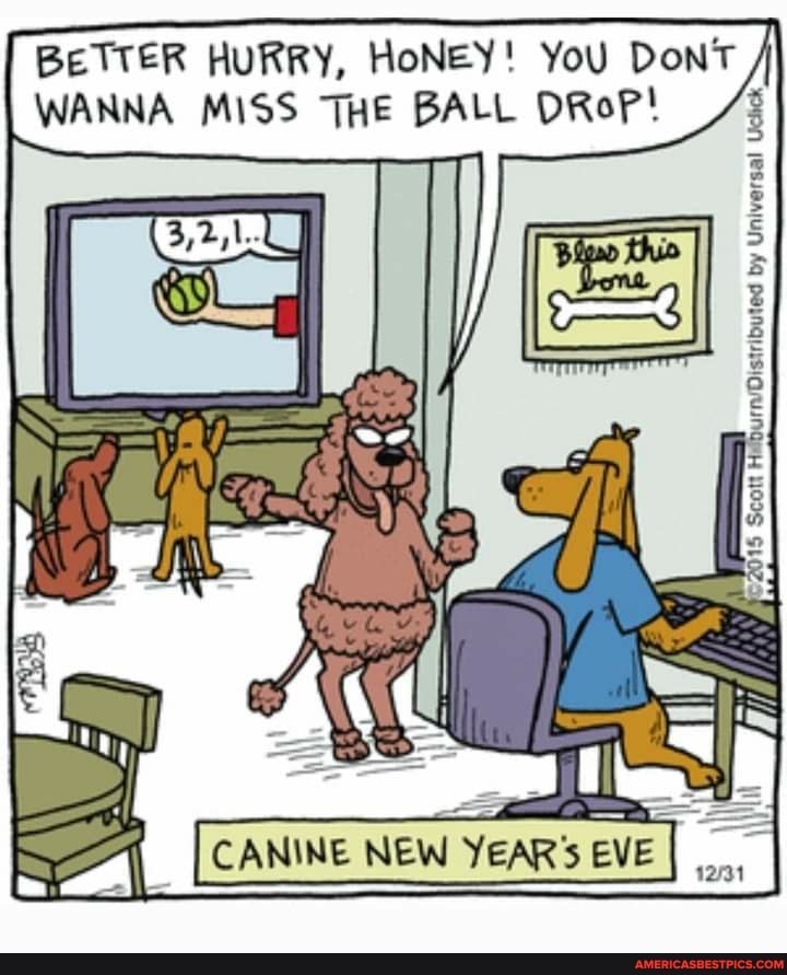 BETTER HURRY, HoNEY! YoU DonT WANNA MISS THE BALL DRoP! Scott by ...