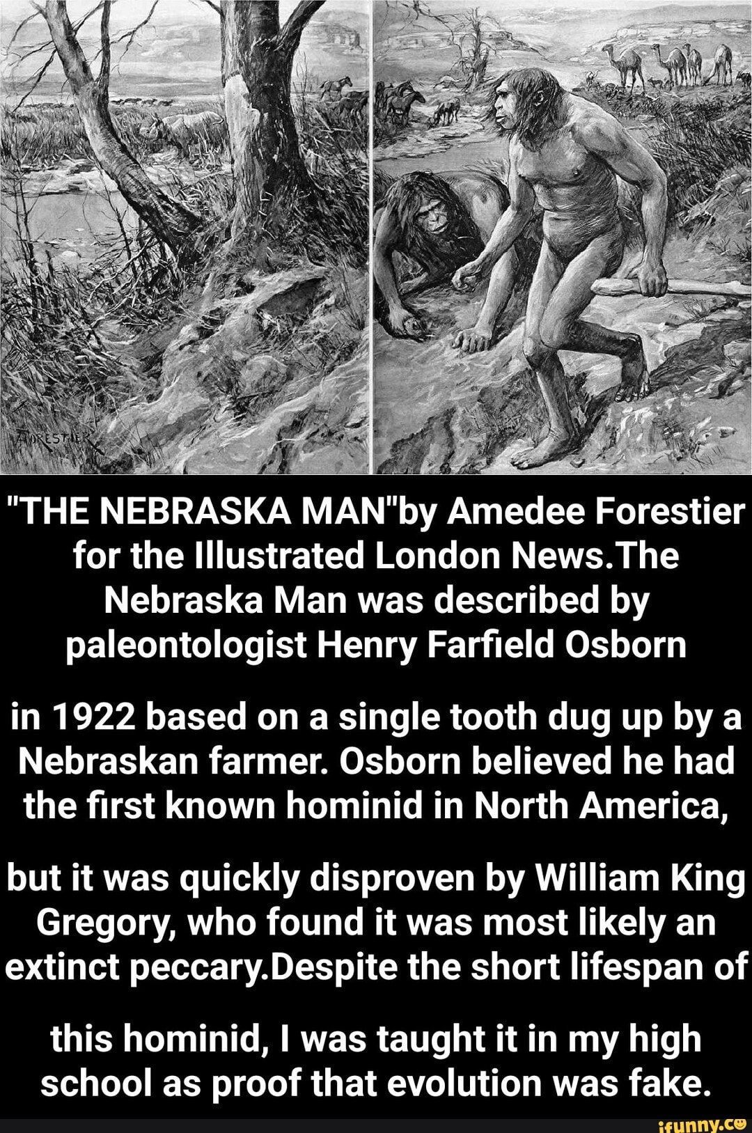 Forestier memes. Best Collection of funny Forestier pictures on iFunny