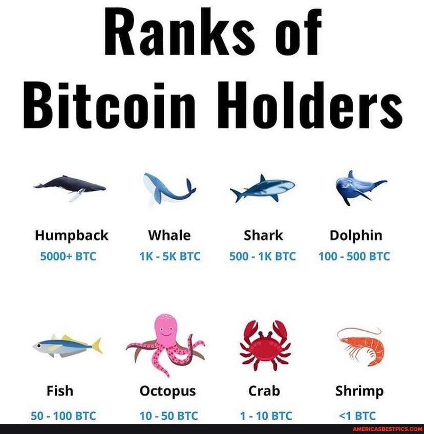 Ranks of Bitcoin Holders er Humpback Whale Shark Dolphin 5000+ BTC 1K ...