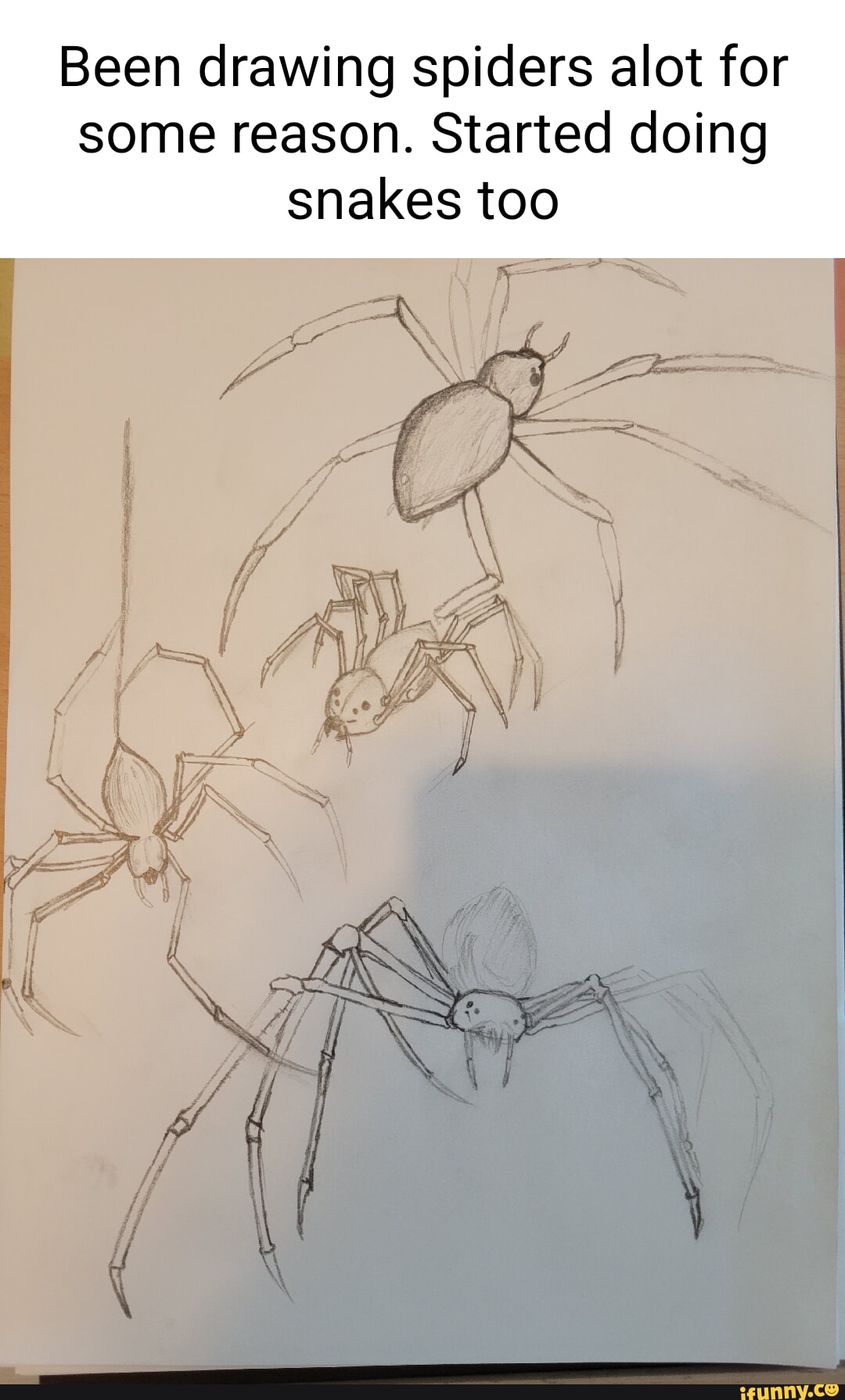 Spiders memes. Best Collection of funny Spiders pictures on iFunny
