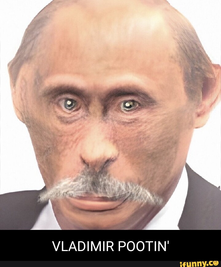 Pootin memes. Best Collection of funny Pootin pictures on iFunny