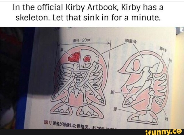 In the official Kirby Artbook, Kirby has a skeleton. Let that sink in ...