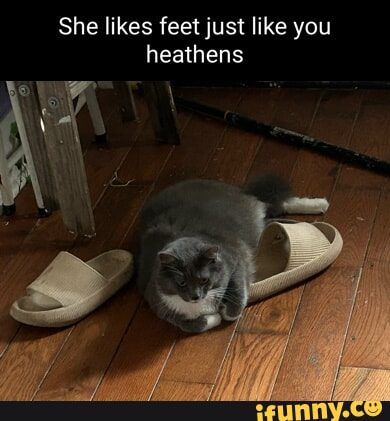 Heathens memes. Best Collection of funny Heathens pictures on iFunny