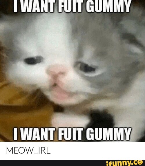 Want Fuit Gummy Want Fuit Gummy Meow Irl Ifunny