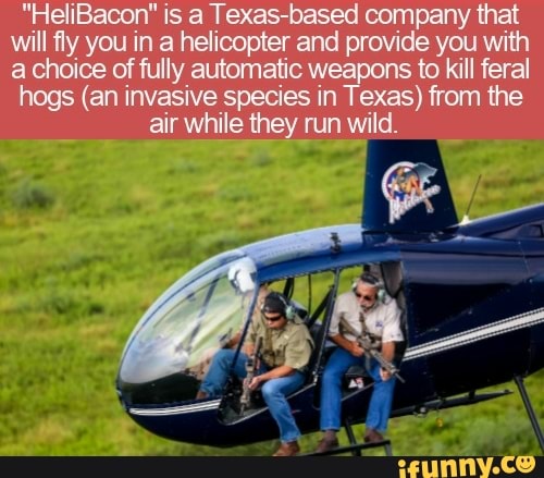 Helibacon memes. Best Collection of funny Helibacon pictures on iFunny