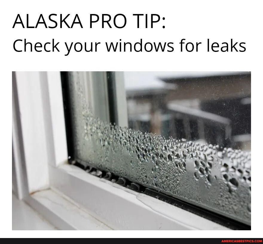 💯💯💯 #alaskamemes #alaska #memes #leakywindows - ALASKA PRO TIP: Check ...