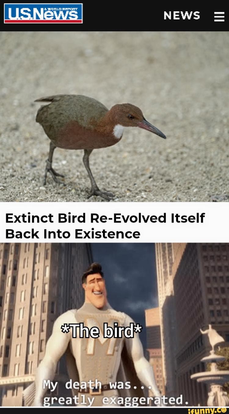 NEWS = Extinct Bird Re-Evolved Itself Back Into Existence *The bird* My ...