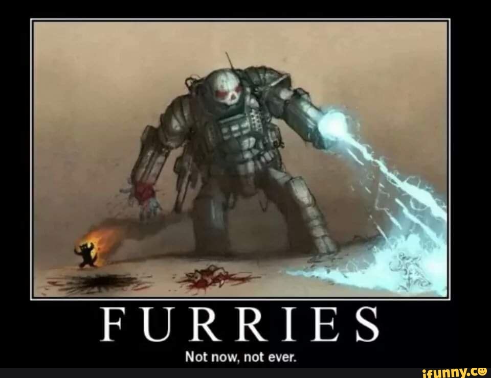 NotEver memes. Best Collection of funny NotEver pictures on iFunny