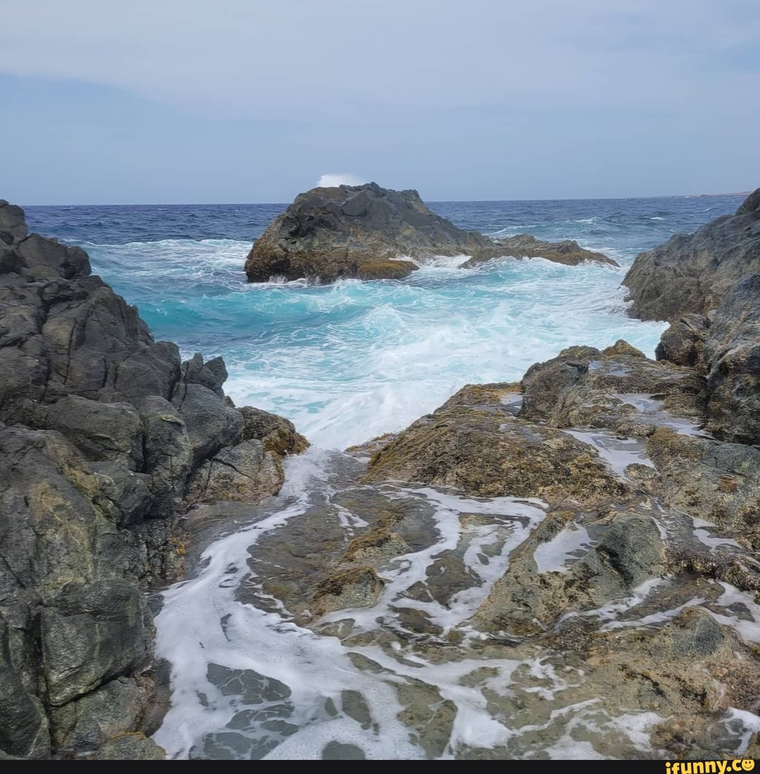 Aruba memes. Best Collection of funny Aruba pictures on iFunny