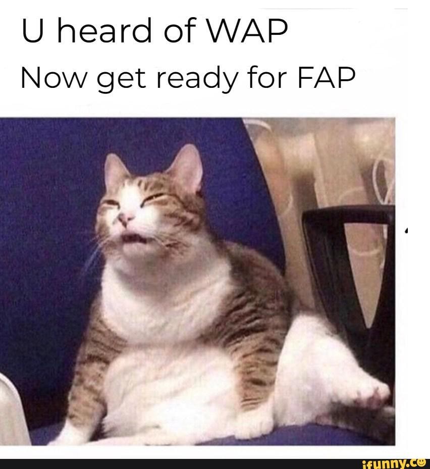 U heard of WAP Now get ready for FAP - iFunny