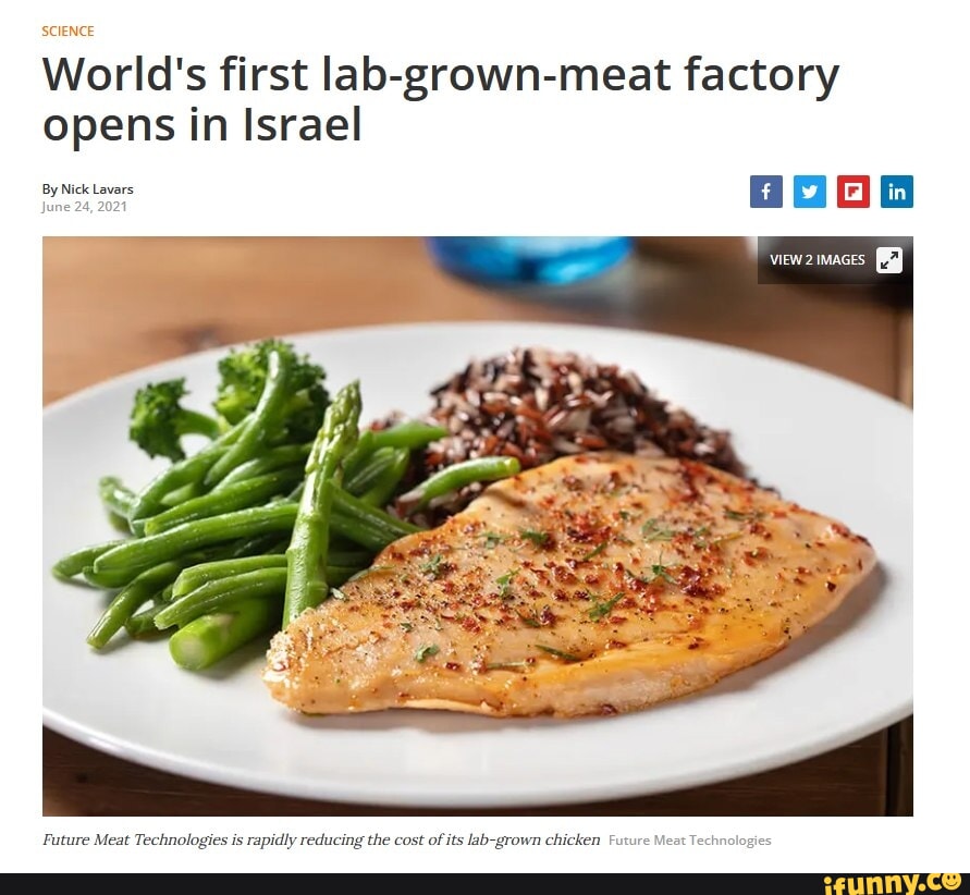 SCIENCE World's first lab-grown-meat factory opens in Israel By Nick ...
