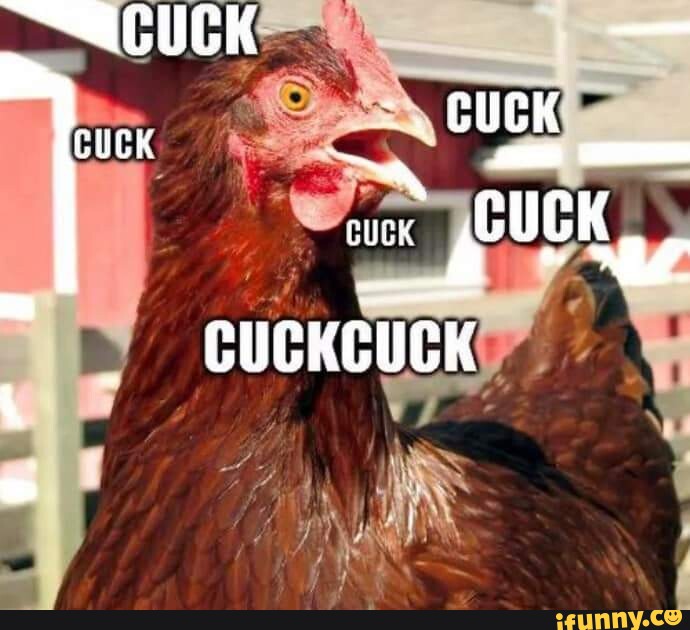 Cuck memes. Best Collection of funny Cuck pictures on iFunny