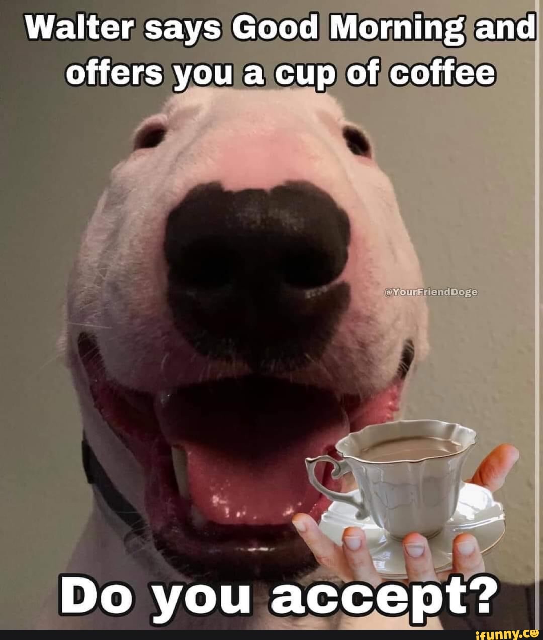 Walter says Good Morning and offers you a cup of coffee Doge Do you ...