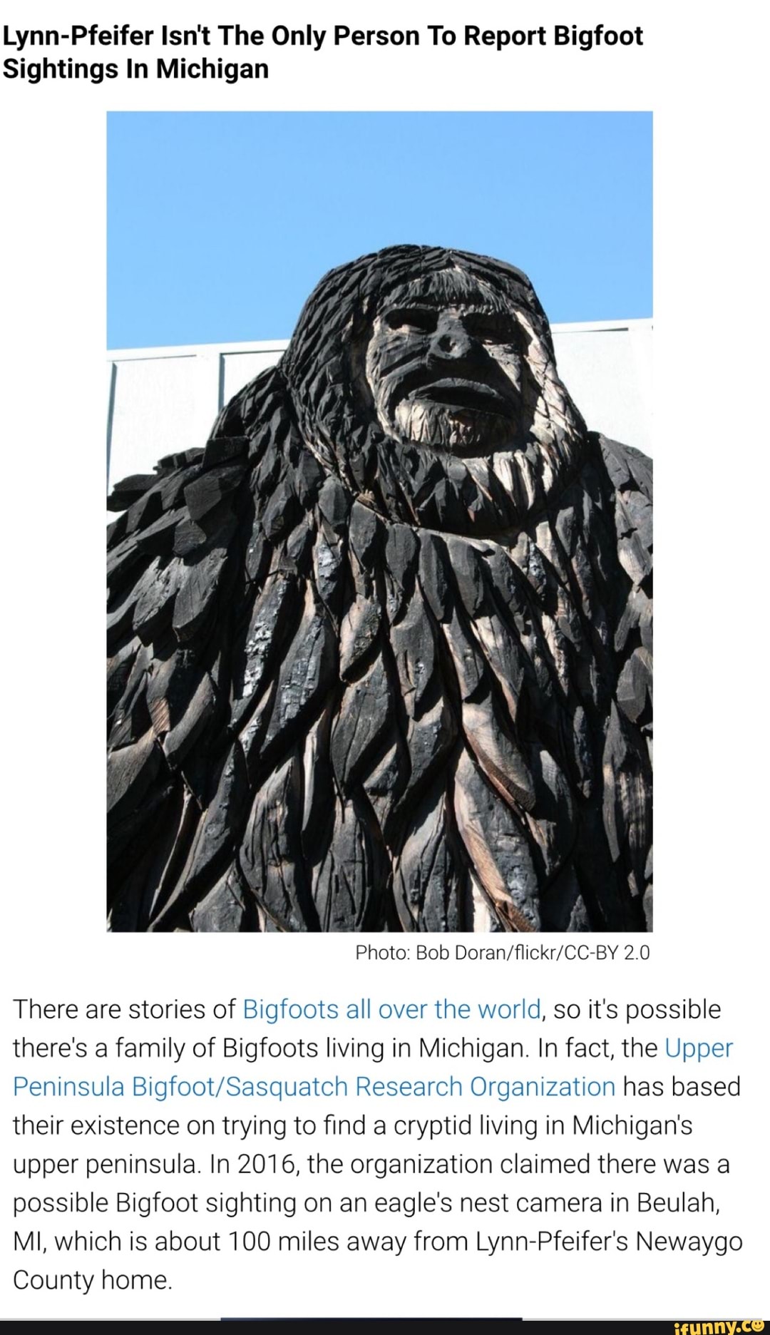 Pfeifer memes. Best Collection of funny Pfeifer pictures on iFunny