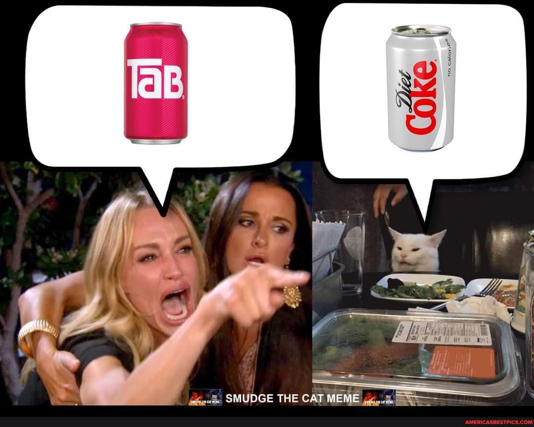 . SMUDGE THE CAT MEME - America’s best pics and videos