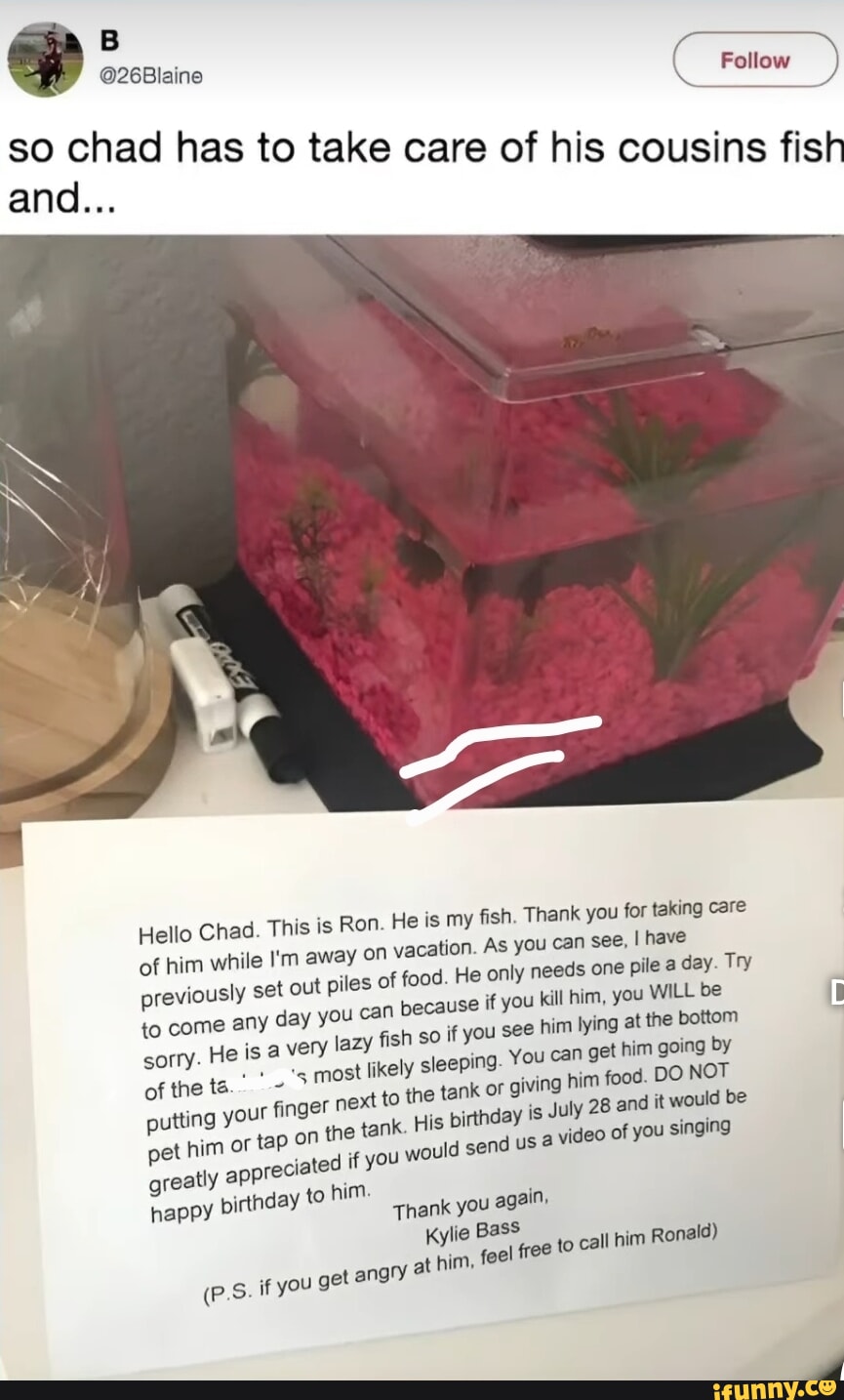 @26Blaine Follow so chad has t and... to take care of his cousins fish ...