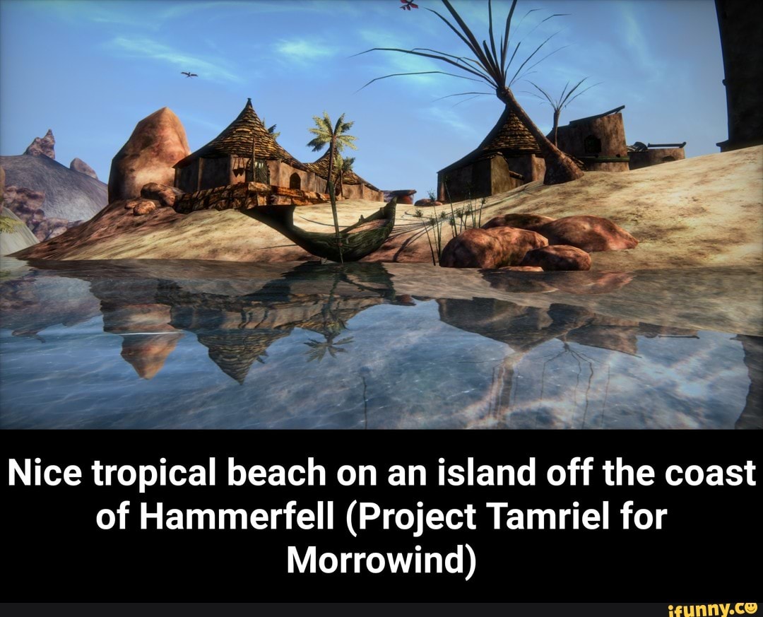 Tamrielrebuilt memes. Best Collection of funny Tamrielrebuilt pictures ...