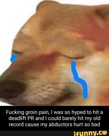 Groin memes. Best Collection of funny Groin pictures on iFunny