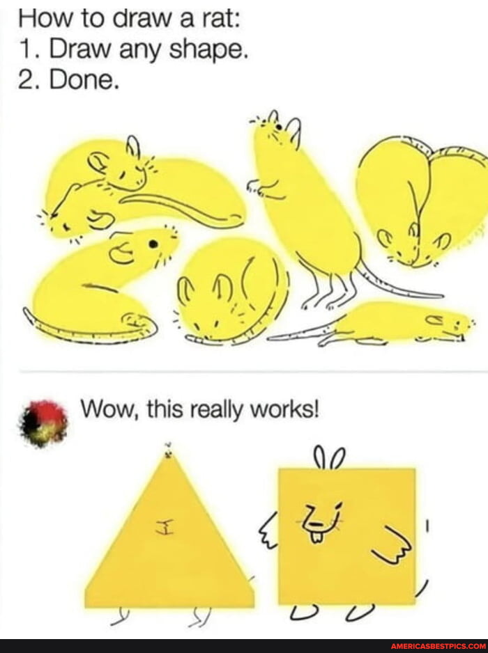 How to draw a rat: 1. Draw any shape. 2. Done. SS Wow, this really ...