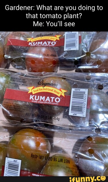 Wegmans memes. Best Collection of funny Wegmans pictures on iFunny