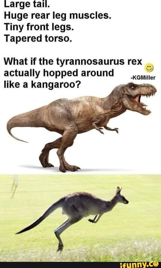 Large tall. Huge rear leg muscles. Tiny front legs. Tapered torso. What ...