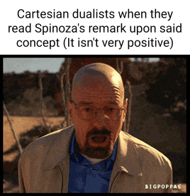 Spinozas memes. Best Collection of funny Spinozas pictures on iFunny
