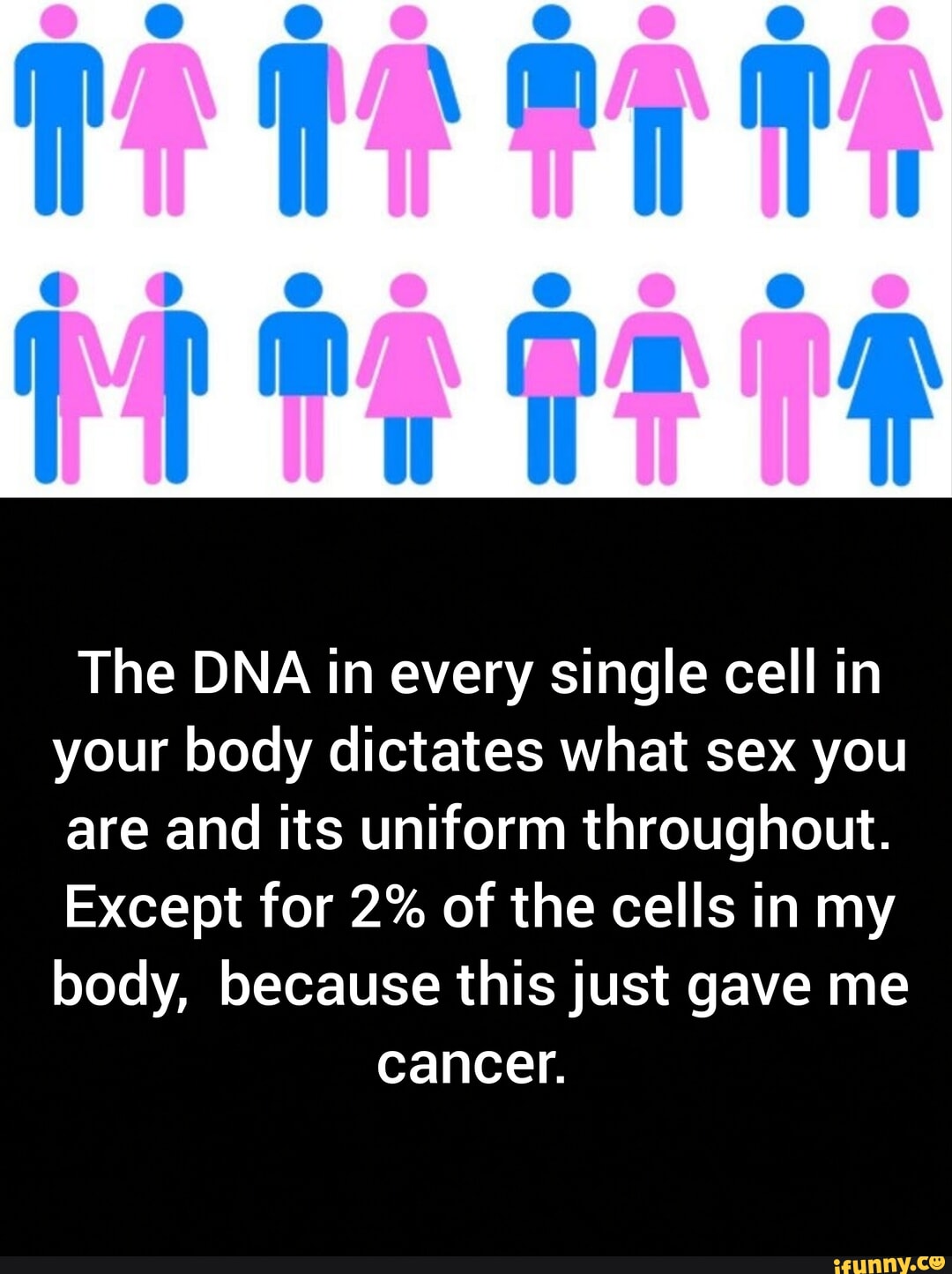 The DNA in every single cell in your body dictates what sex you are and ...