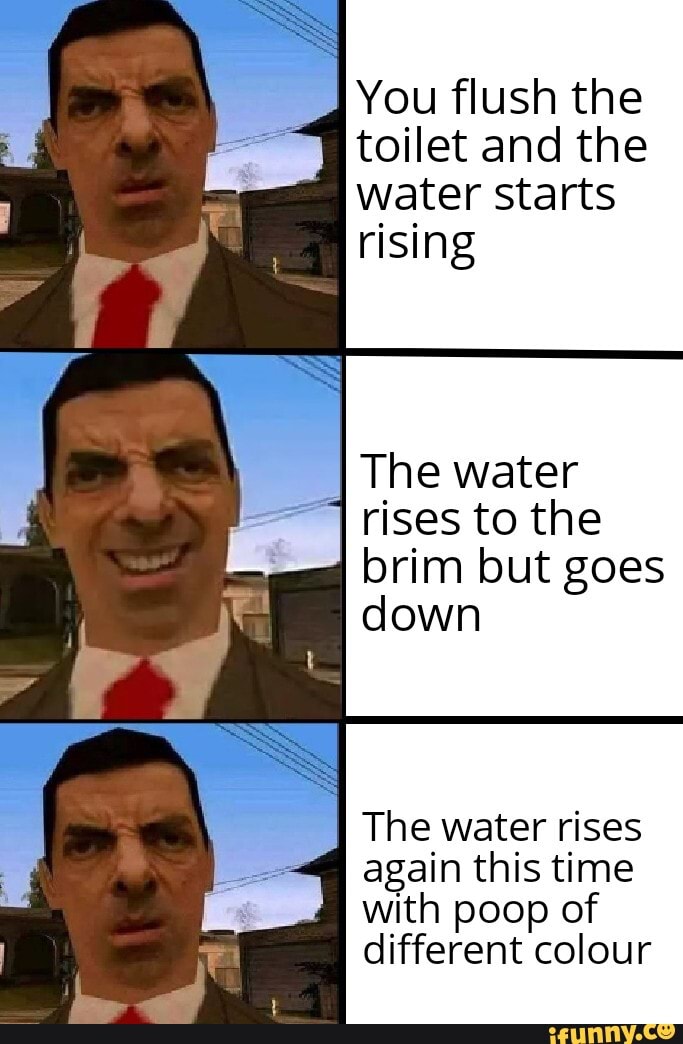 You flush the toilet and the water starts rising The water rises to the ...