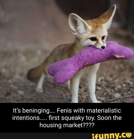 Beninging memes. Best Collection of funny Beninging pictures on iFunny