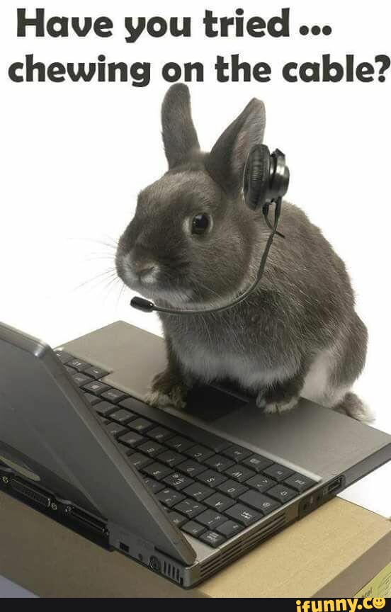 Have you tried chewing on the cable? - iFunny