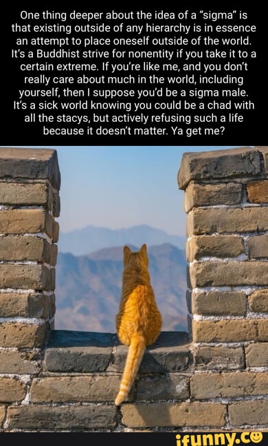 Hierarchy memes. Best Collection of funny Hierarchy pictures on iFunny
