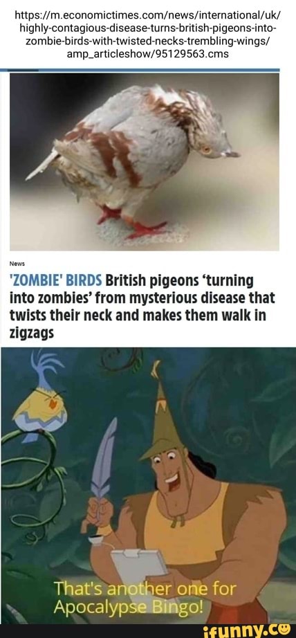 Https economictimes uk, highly contagious disease turns pigeons into ...