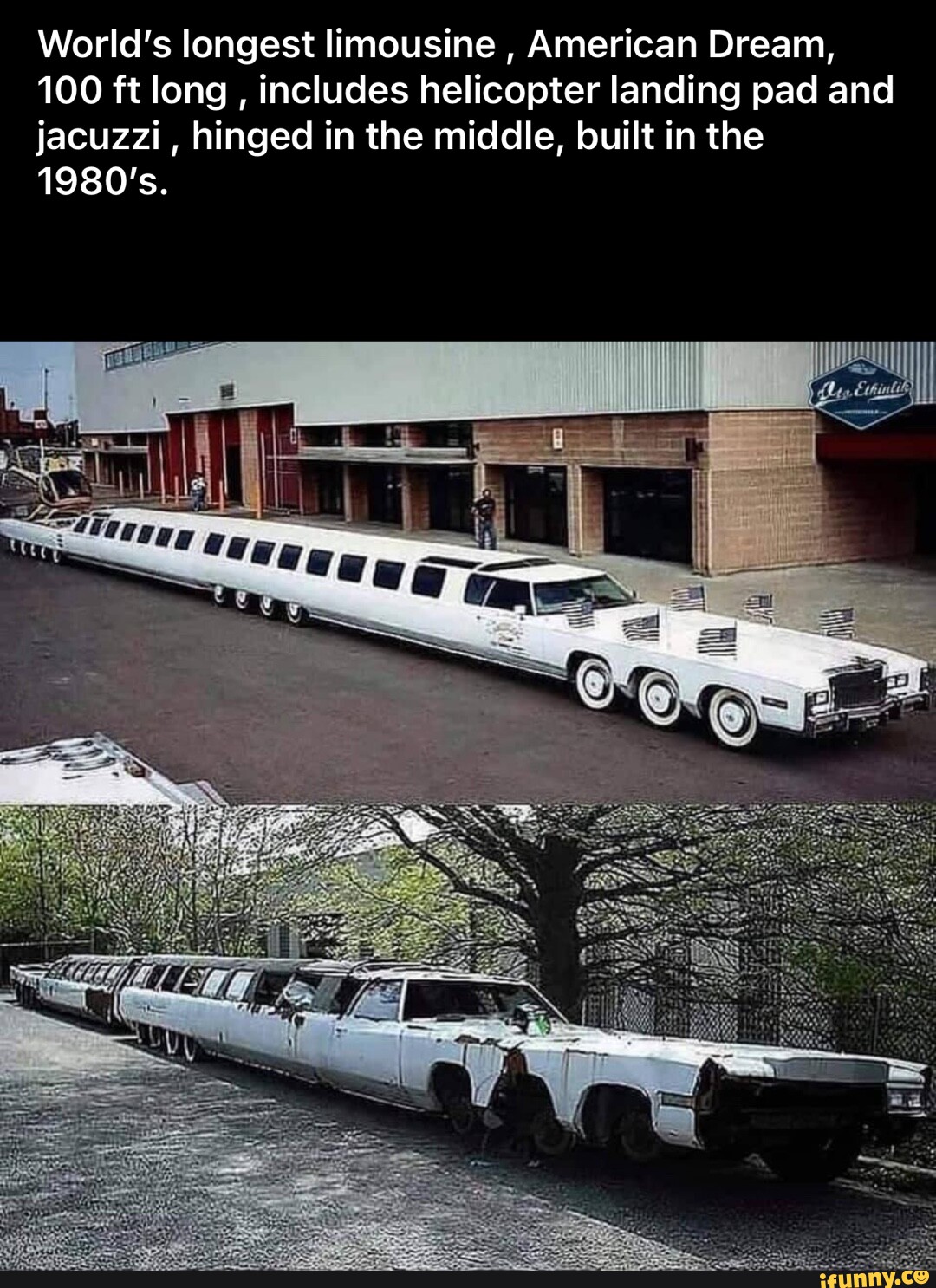 Hi herbert trilogy - iFunny