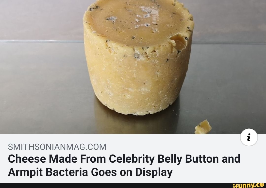 SMITHSONIANMAGCOM Cheese Made From Celebrity Belly Button and Armpit ...