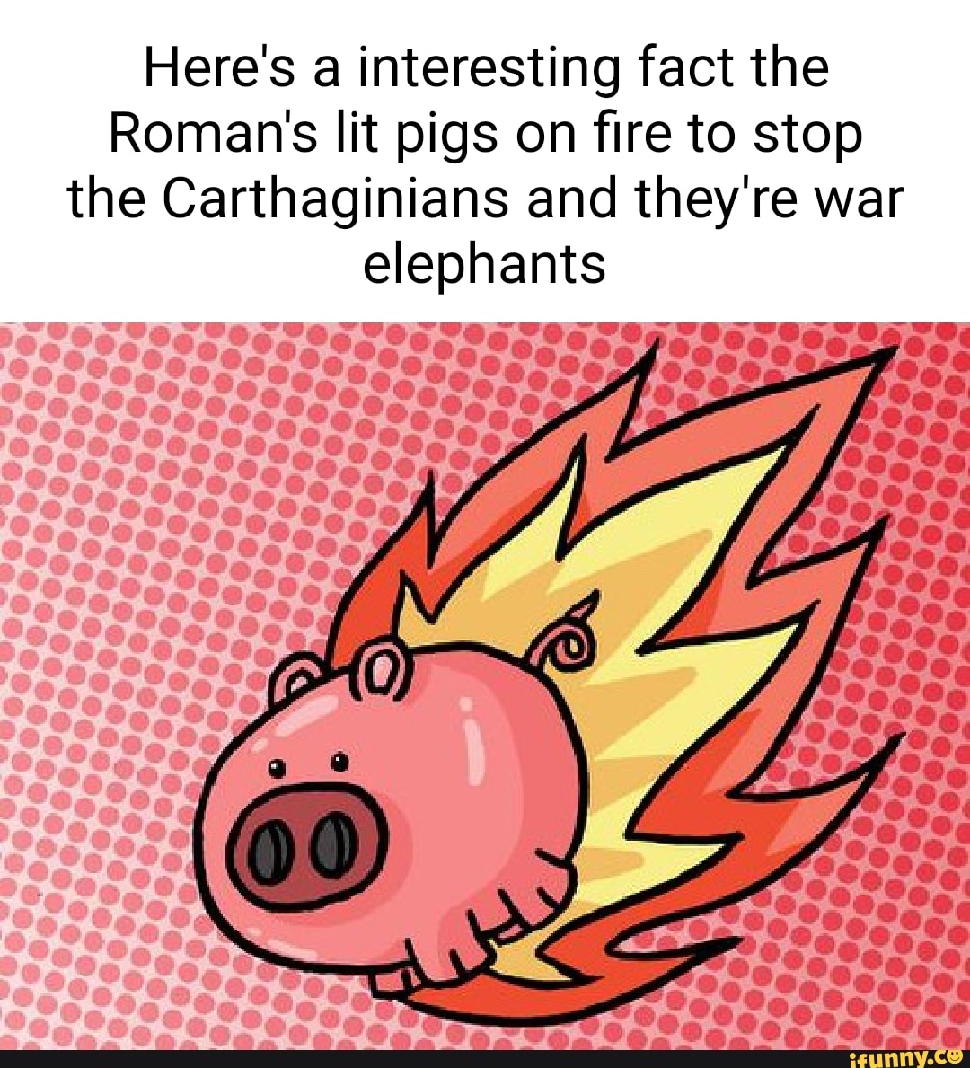 Here's a interesting fact the Roman's lit pigs on fire to stop the ...